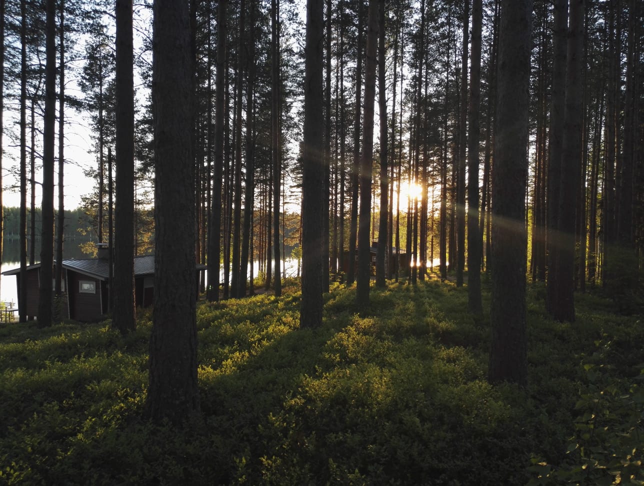 Visit Soini | Majoitus